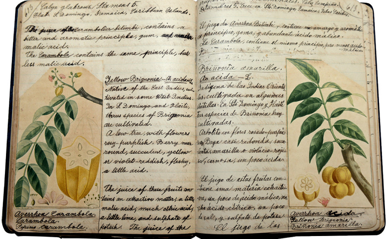 Suffragists You Need to Meet: Anna Roqué Duprey (1853 – 1933) | MyLO